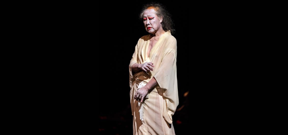 “Ohaka”: Japón y Oaxaca en el performance de Tadashi y Rosario | NVI ...