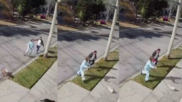 VIDEO |Buscan a sujeto que, a patadas, hace volar a perrito en CdMx ...