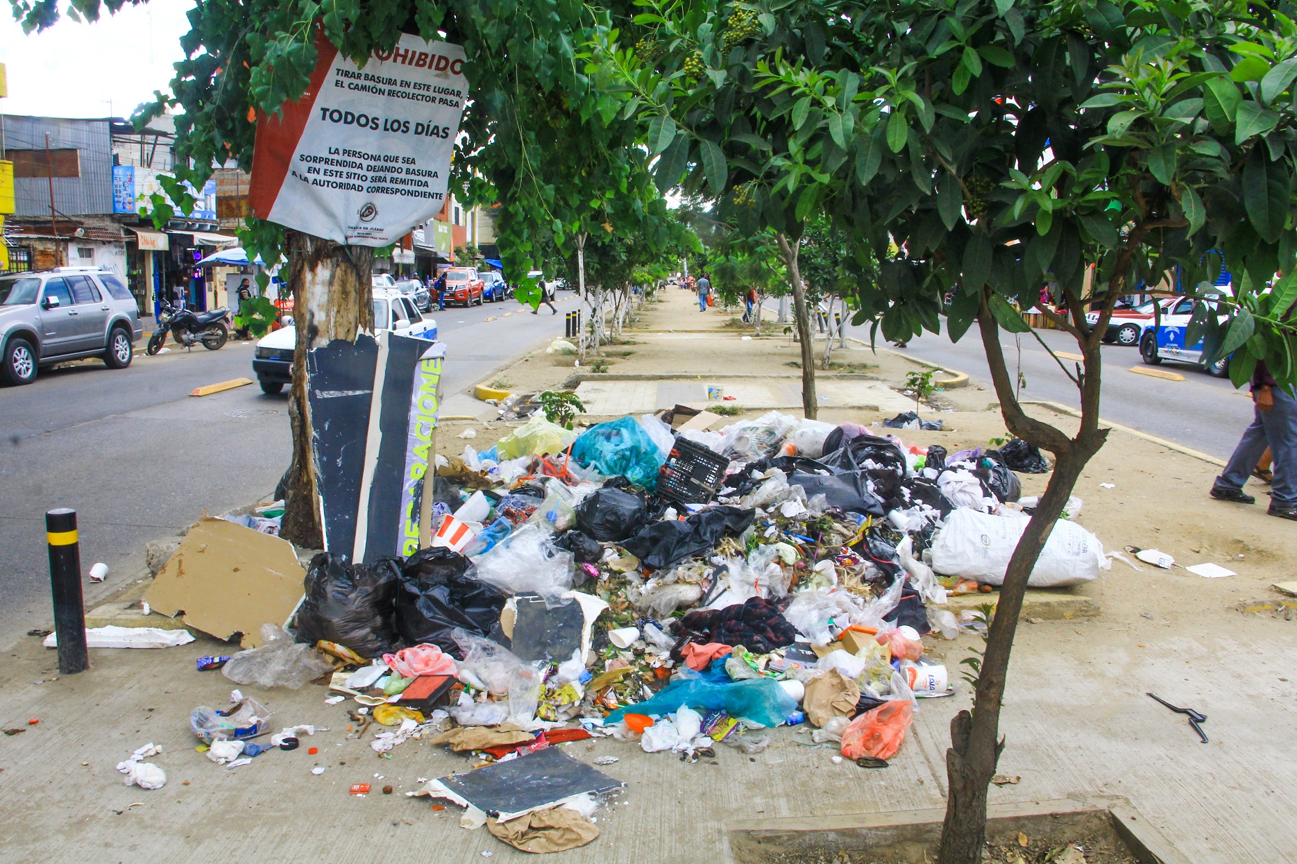 Oaxaca de Juárez requiere 200 mdp para un nuevo tiradero de basura ...