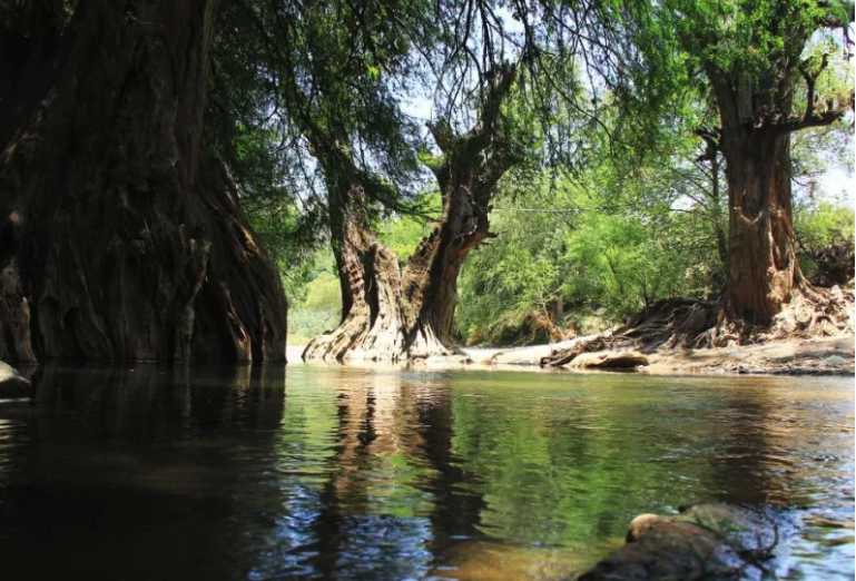 La CNDH ordena a autoridades de Oaxaca el rescate del río Mixteco | NVI ...
