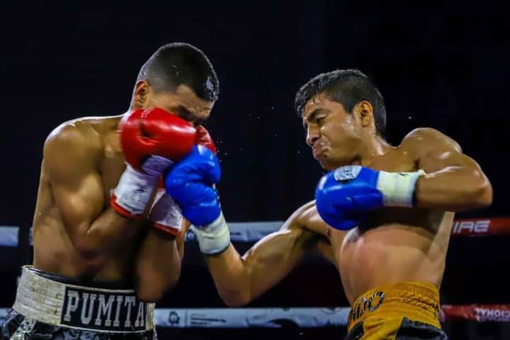 El oaxaqueño Luis "Nene" Robles vuelve al ring después de receso | NVI ...