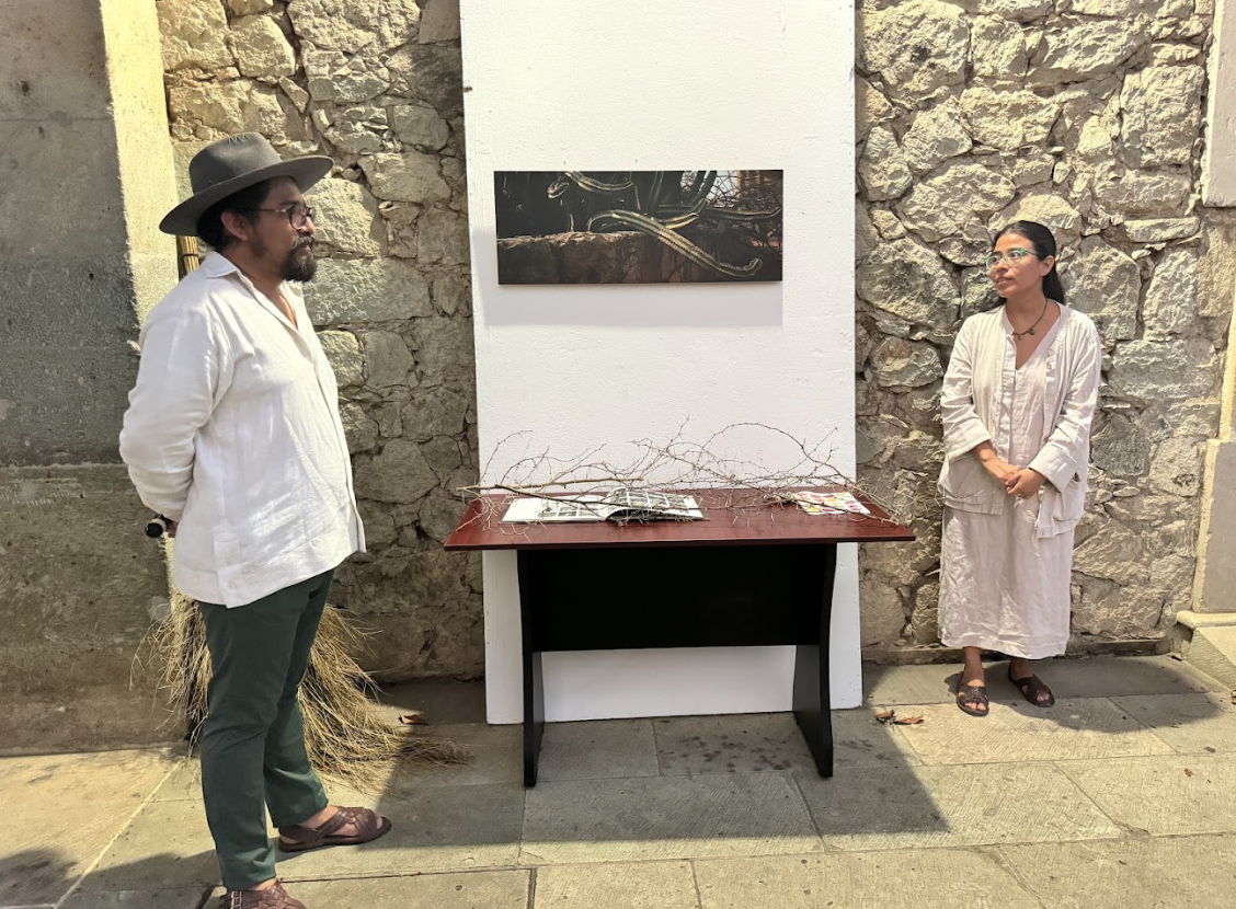 Llega a Oaxaca: contemplación y presencia en la obra de Daniel Robles ...