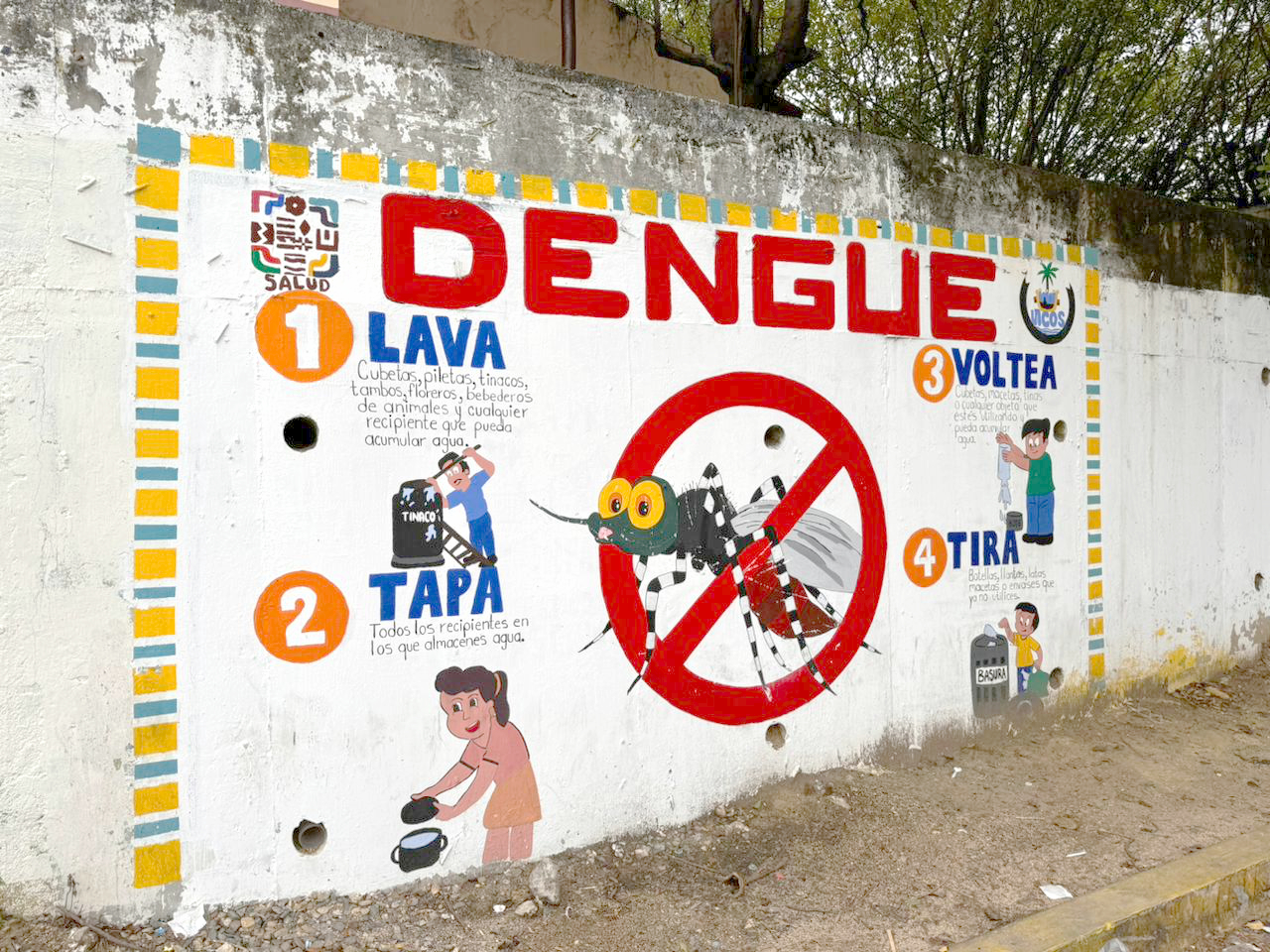 Coordinan esfuerzos para frenar contagios de dengue en Oaxaca | NVI ...