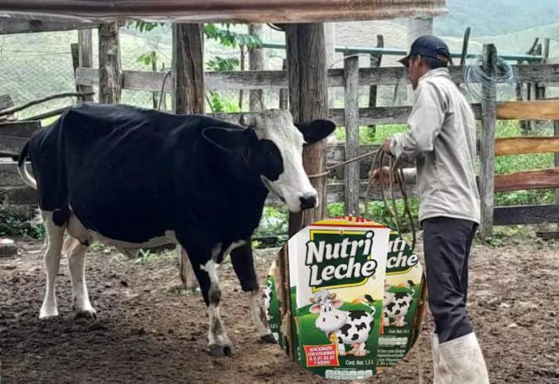 ¿Qué es la Nutri Leche si no es leche? Profeco lo revela | NVI Noticias