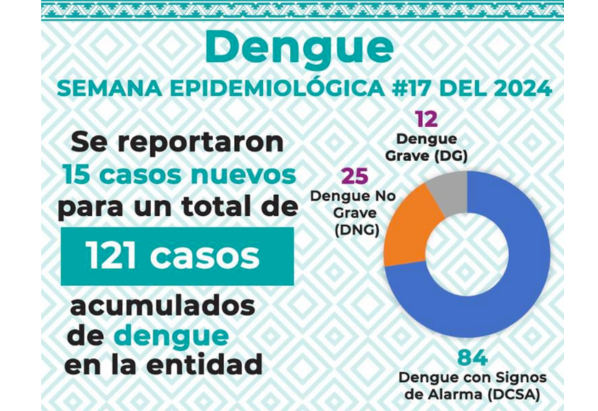 Dengue en Oaxaca: se notifican 15 casos confirmados en una semana | NVI ...