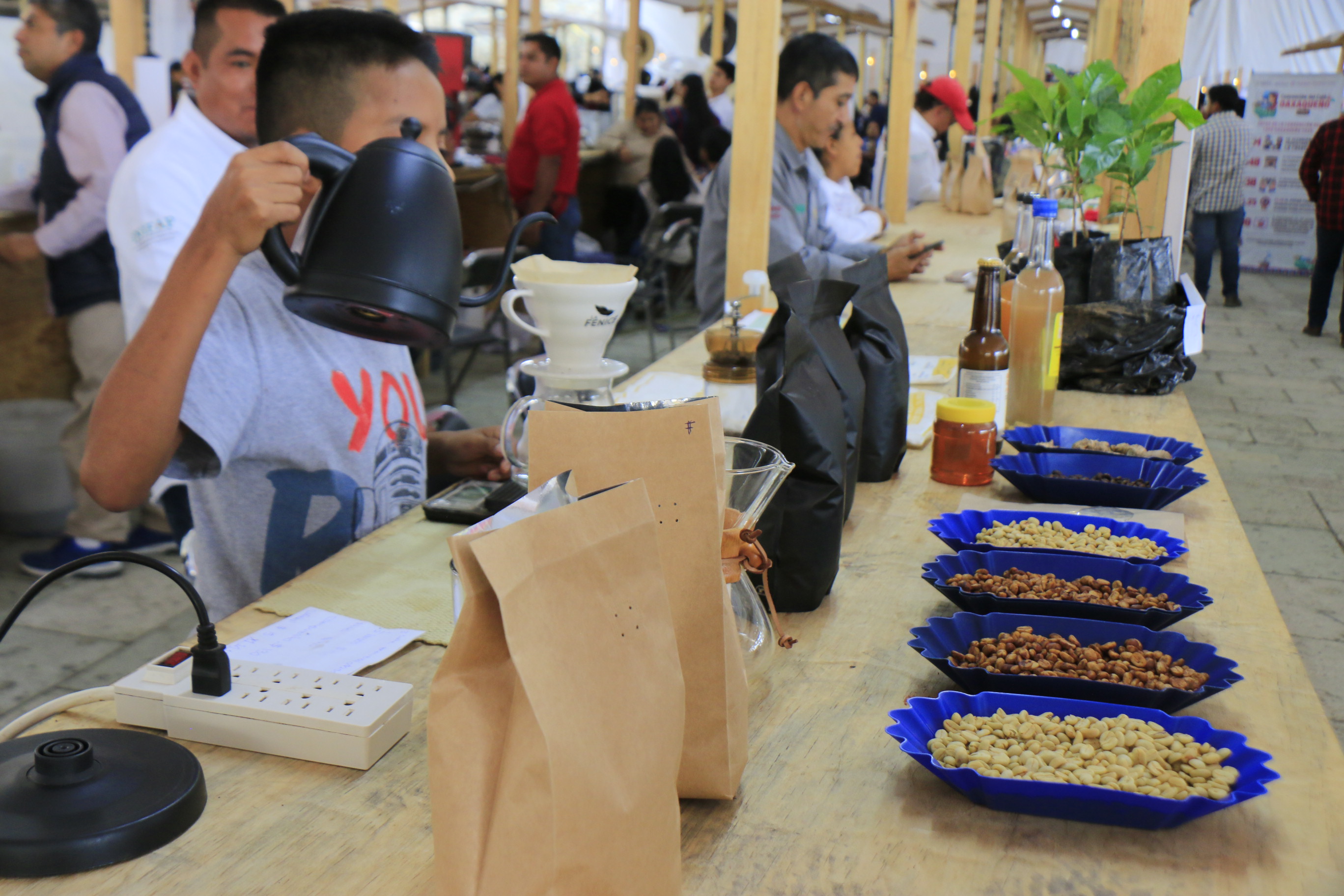 Convención de café deja 2.6 mdp en ventas a productores de Oaxaca ...
