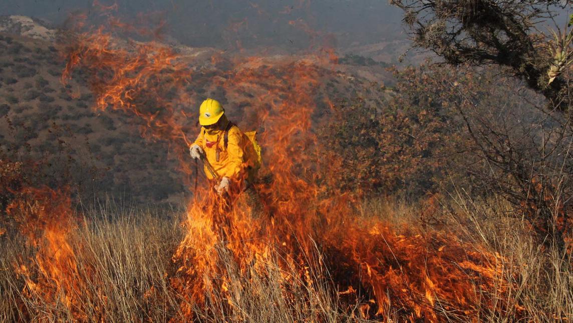 Oaxaca, “foco rojo” por incendios forestales; primer lugar nacional ...