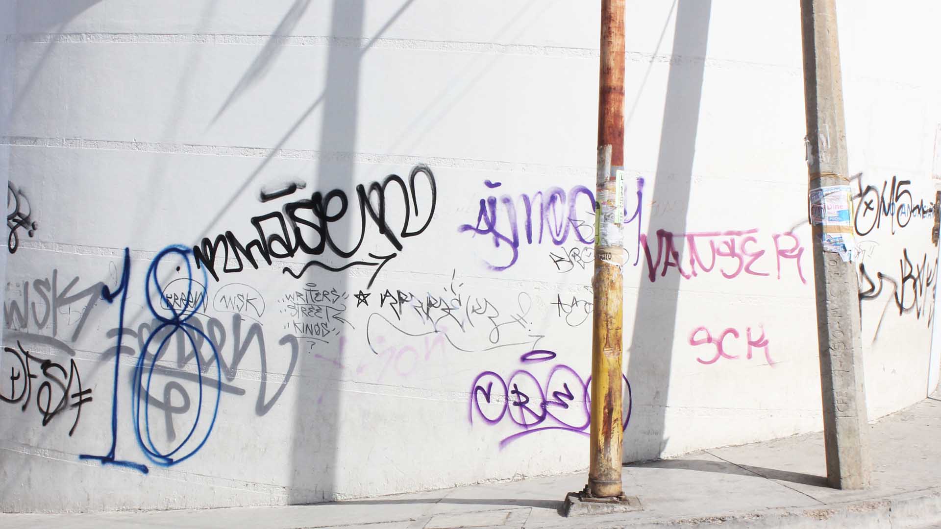 Cholos y su pelea a muerte por el territorio | NVI Noticias