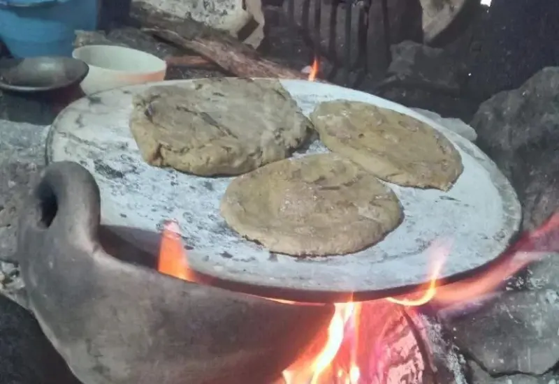 Conoce el machucado mixe, Patrimonio Material Gastronómico de Oaxaca ...