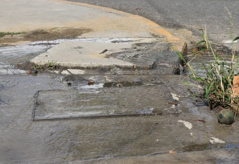 Fugas de aguas residuales, un peligro para todos en Oaxaca | NVI Noticias